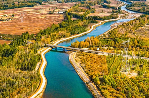 Albarkatun Daji Da Tsirrai Da Sin Ta Tattara Da Adana Sun Karu Da Kashi ...